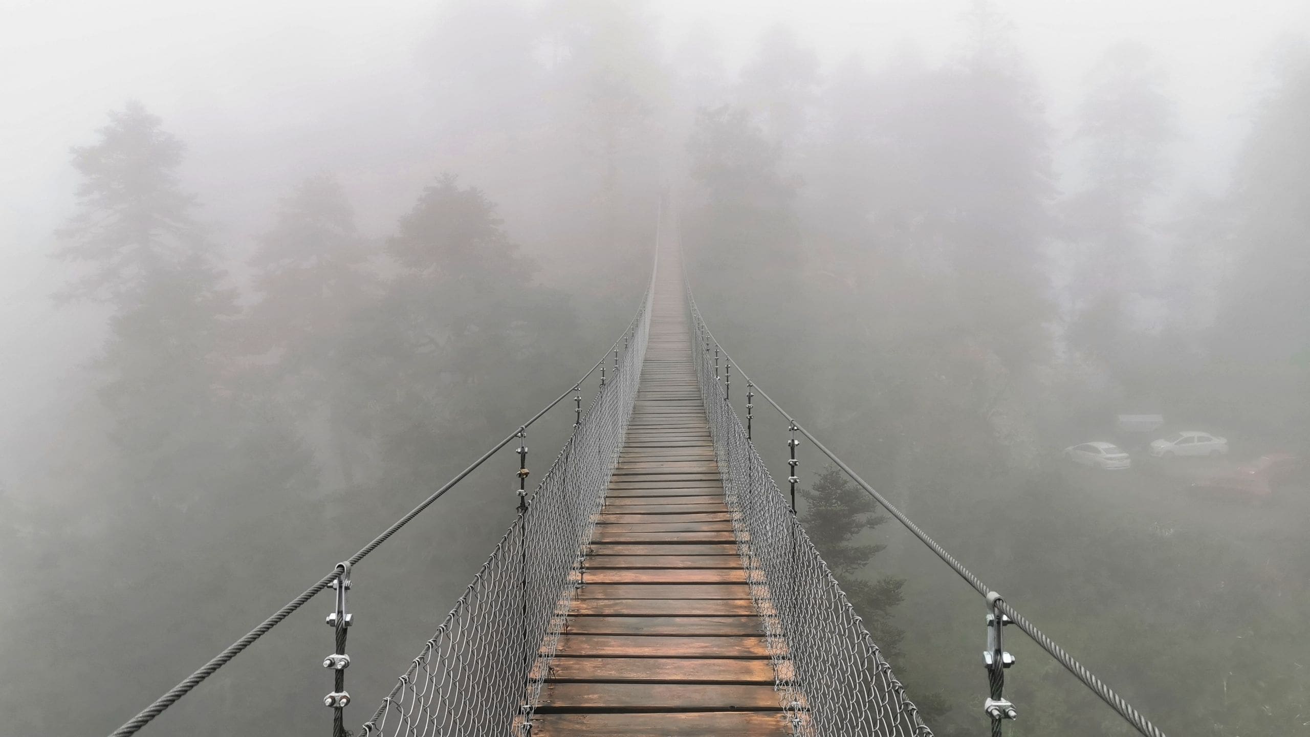 Reinvention Requires Us to Embrace the Fog - Fluency Leadership